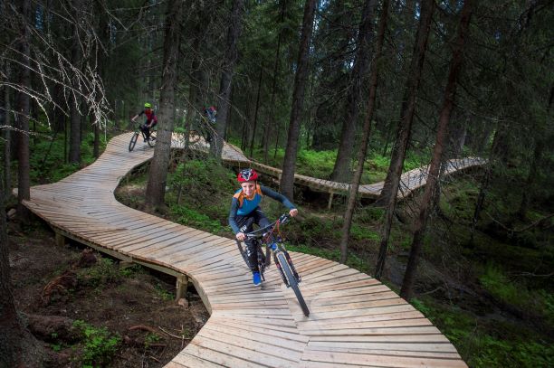 Trysil Bike Arena | Telemarksforsking